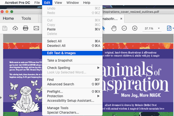 How To Edit PDFs In Adobe Acrobat And Adobe Illustrator